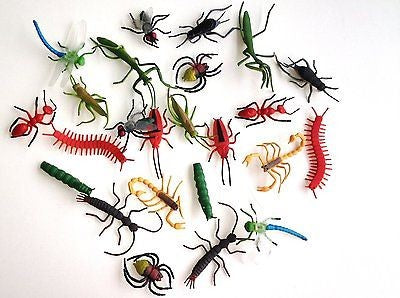 Nature Tube Insects – Dizzy Toys